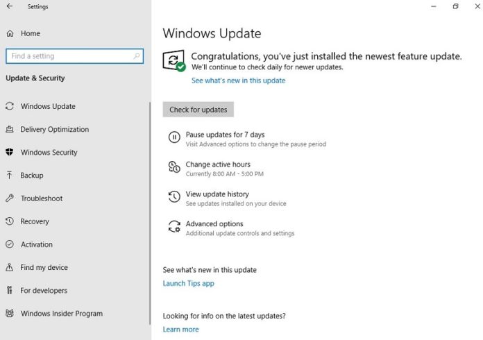 Microsoft will finally allow Windows 10 Home users to pause updates