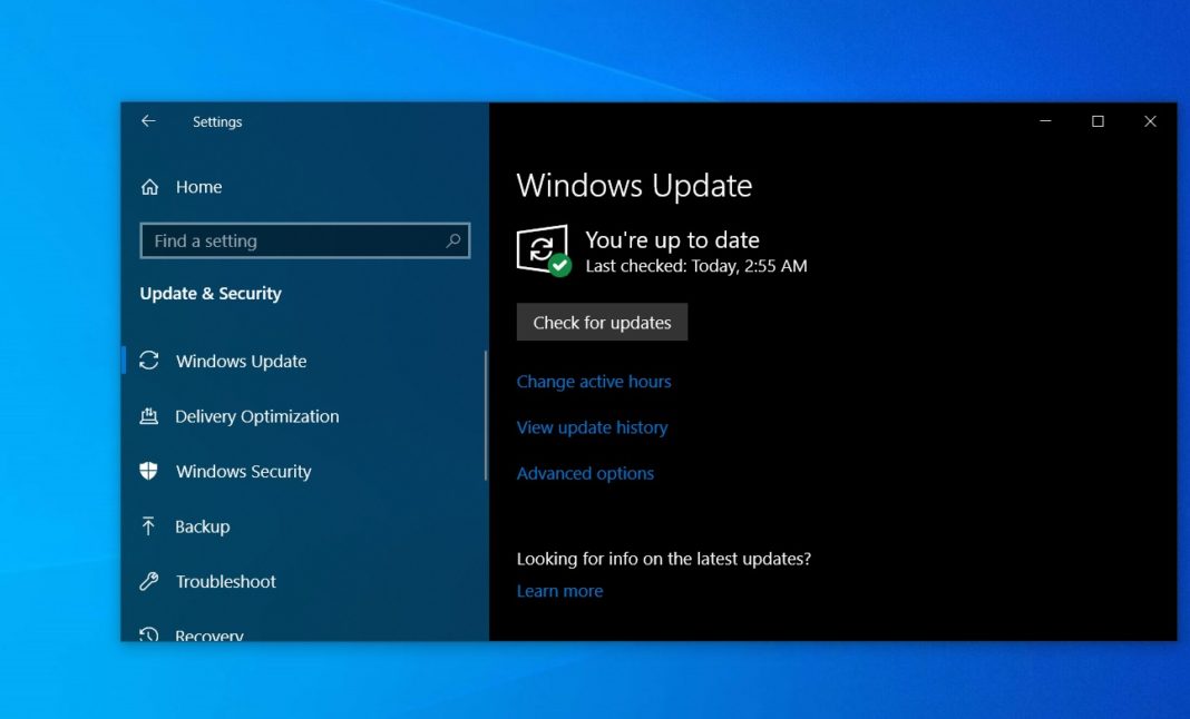 Microsoft promises fix for Windows 10 performance and Search issues
