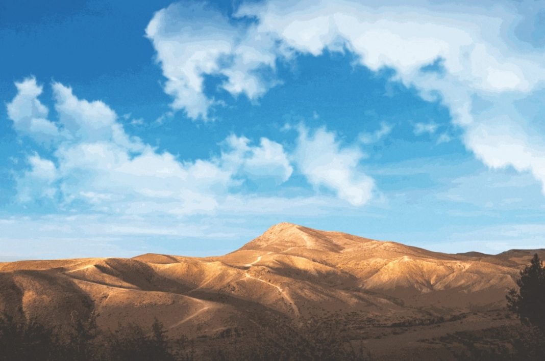 How Windows 10 X will dynamically change desktop wallpaper