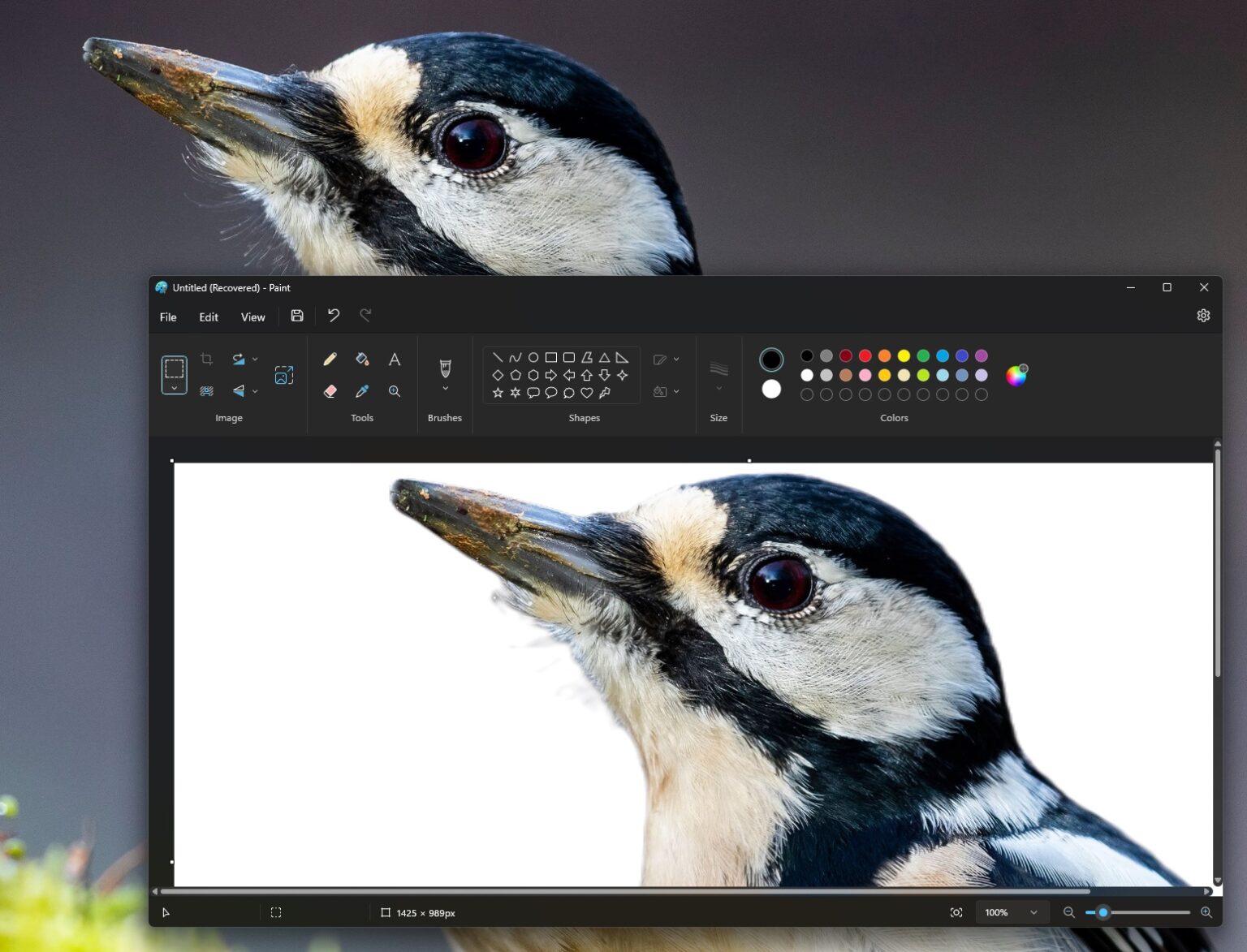 How to enable Windows 11 Paint app background removal tool