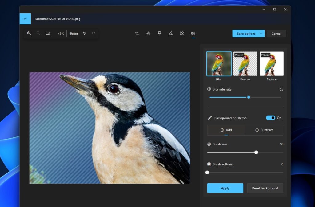 Microsoft Photos on Windows 11 tests a big AI upgrade with Google ...