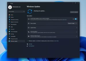Windows 11 23H2 is not showing up? You're not alone