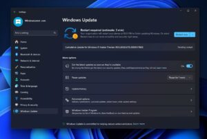 Windows 11 24H2 gets KB5037783 and KB5037869 cumulative updates