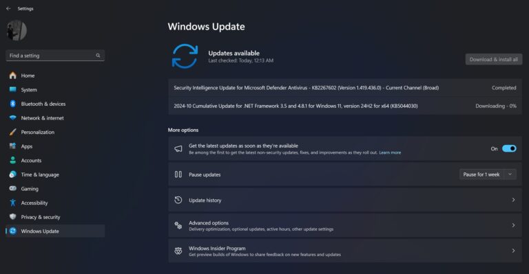 Windows 11 KB5044284 issues, update fails. KB5044285 also have issues ...