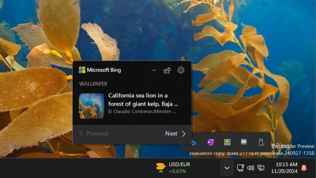 Bing Wallpaper arrives in Windows 11 Store, but it still wants you to ...