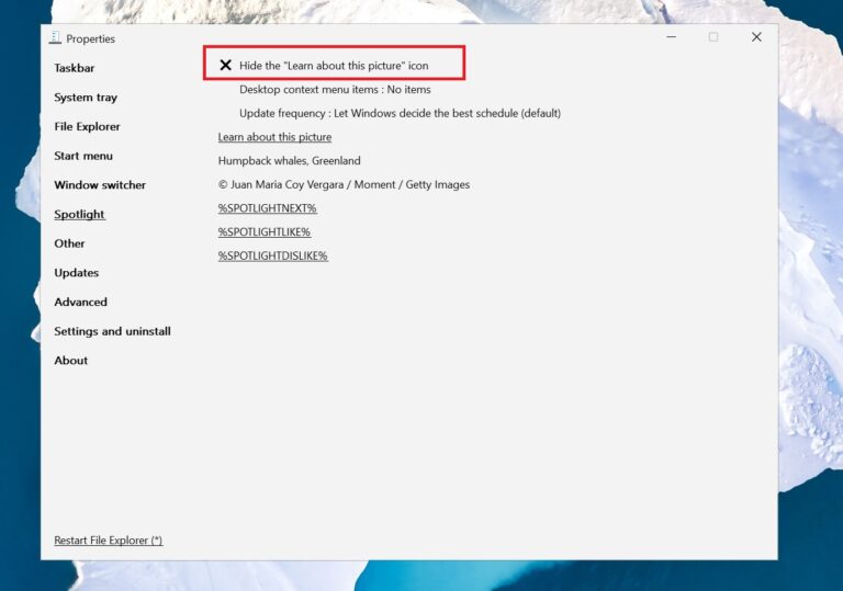 Permanently remove “Learn more about this picture” icon in Windows 11