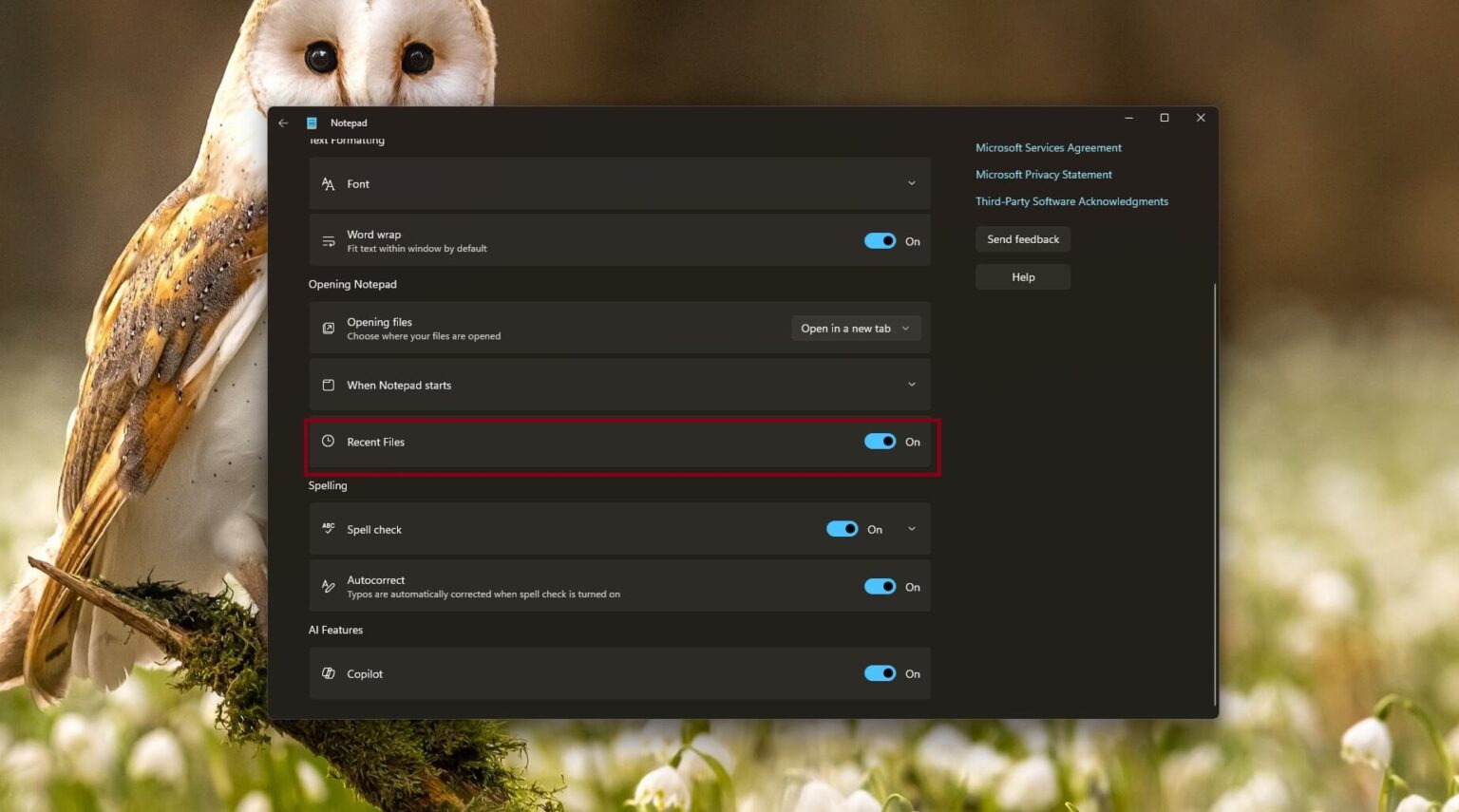 Microsoft is adding "Recent" files feature, Copilot button to Notepad on Windows 11