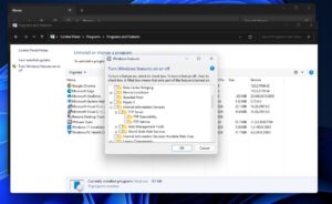 Windows 11 KB5055523 creates "inetpub" folder out of nowhere