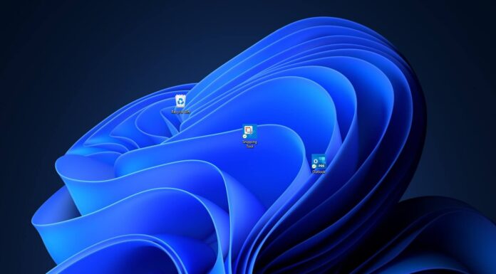 Hands on with Windows 11 24H2's secret "Speak for me" feature