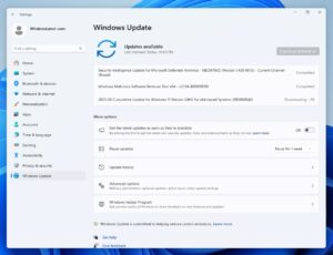 Microsoft slows Windows 11 June 2025 Update rollout over issues