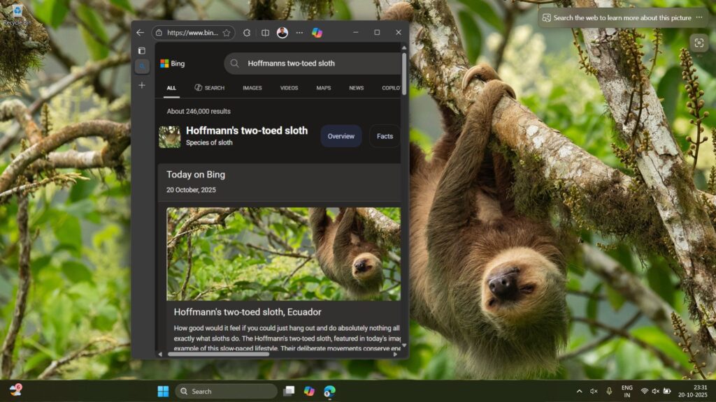 Windows 11's Bing Wallpaper app opens Bing.com if you click anywhere on ...